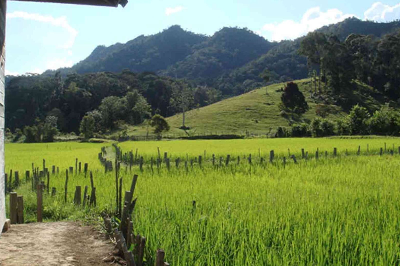 Discovery Tour in Bario Valley, Miri, Malaysia | Gokayu, Your Travel Guide