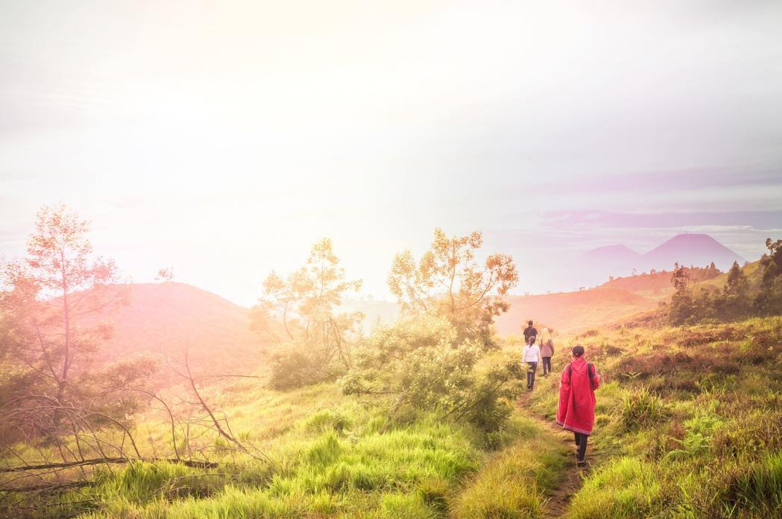 Hiking at Mount Prau, Yogyakarta, Indonesia | Gokayu, Your Travel Guide