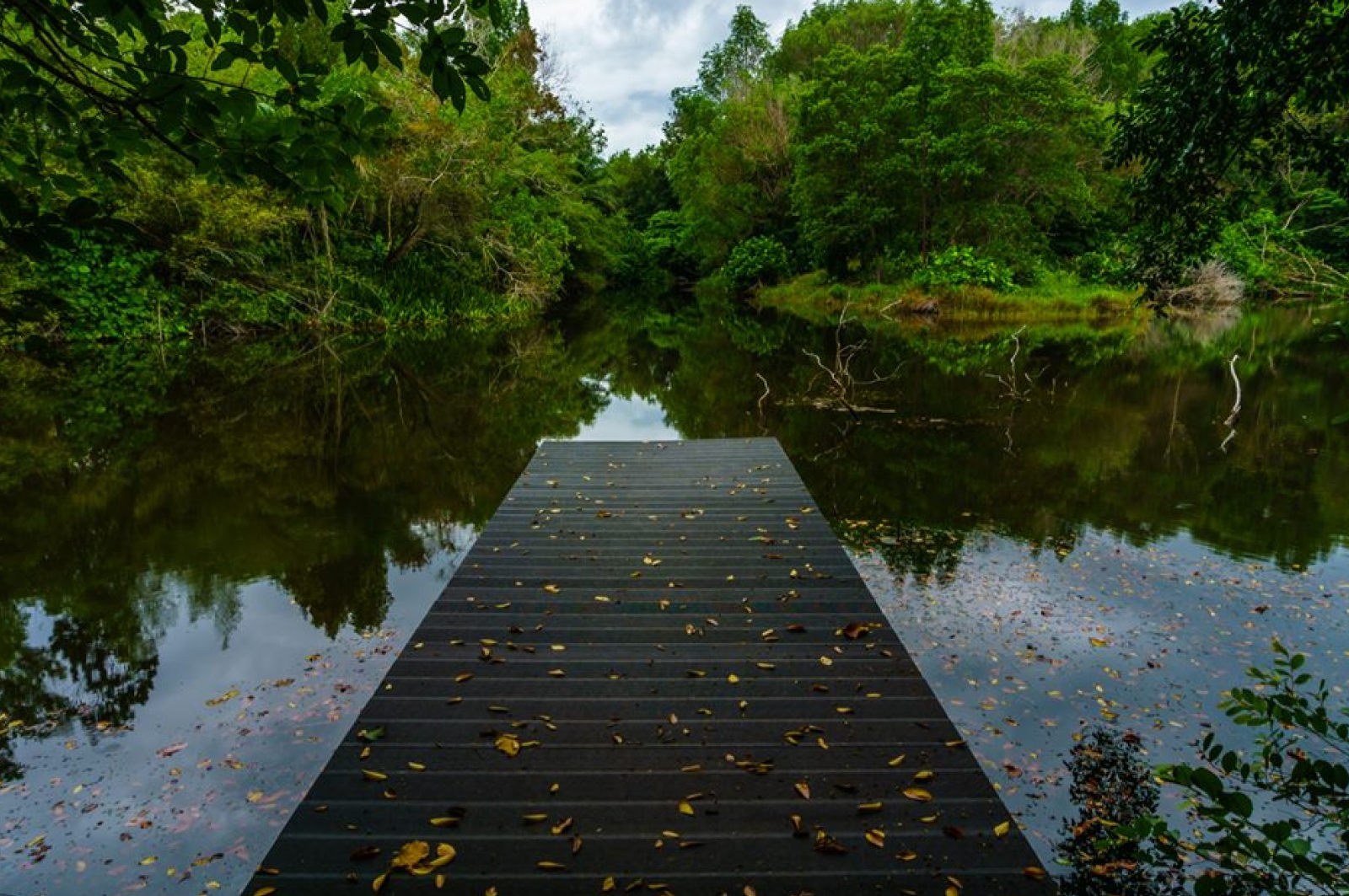Labuan Botanical Garden, Labuan Island, Malaysia | Gokayu, Your Travel ...