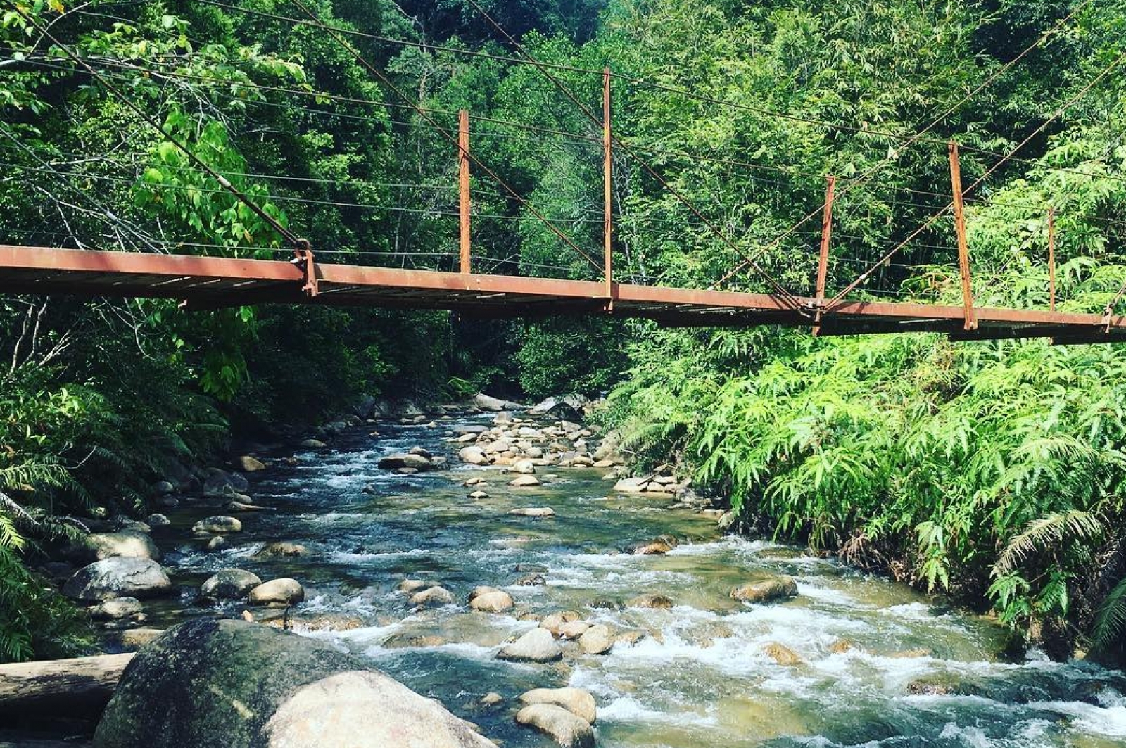 Selangor, Malaysia | Gokayu, Your Travel Guide