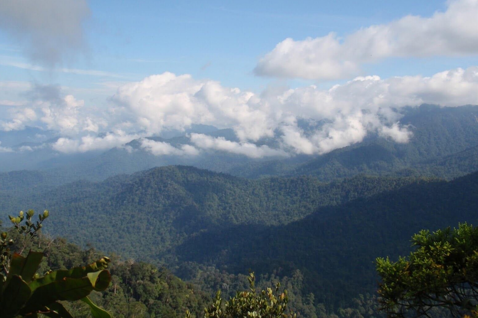 Mountain Climbing at Gunung Bunga Buah, Pahang, Malaysia | Gokayu, Your ...