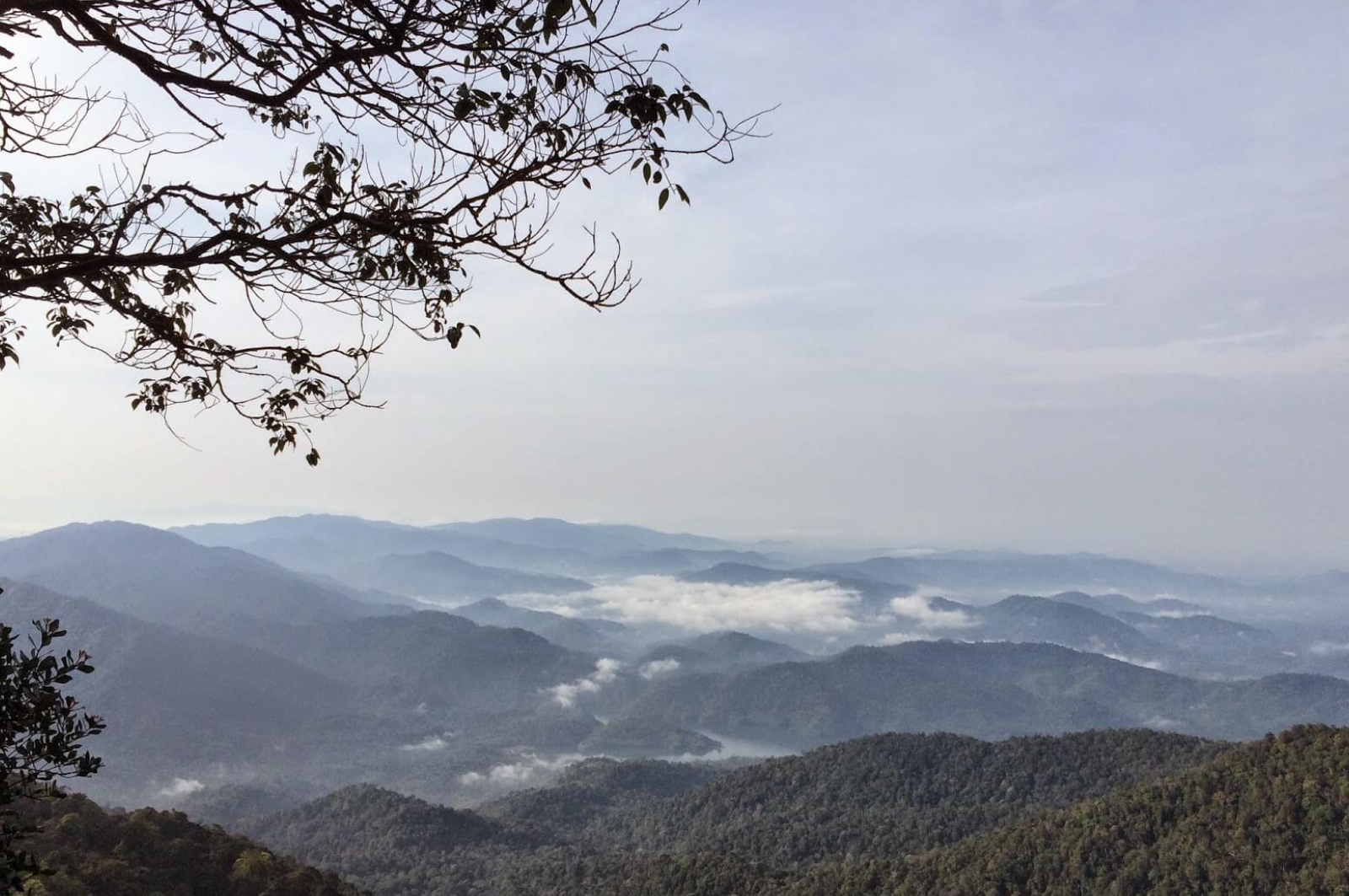 Camping at Gunung Nuang, Selangor, Malaysia | Gokayu, Your Travel Guide