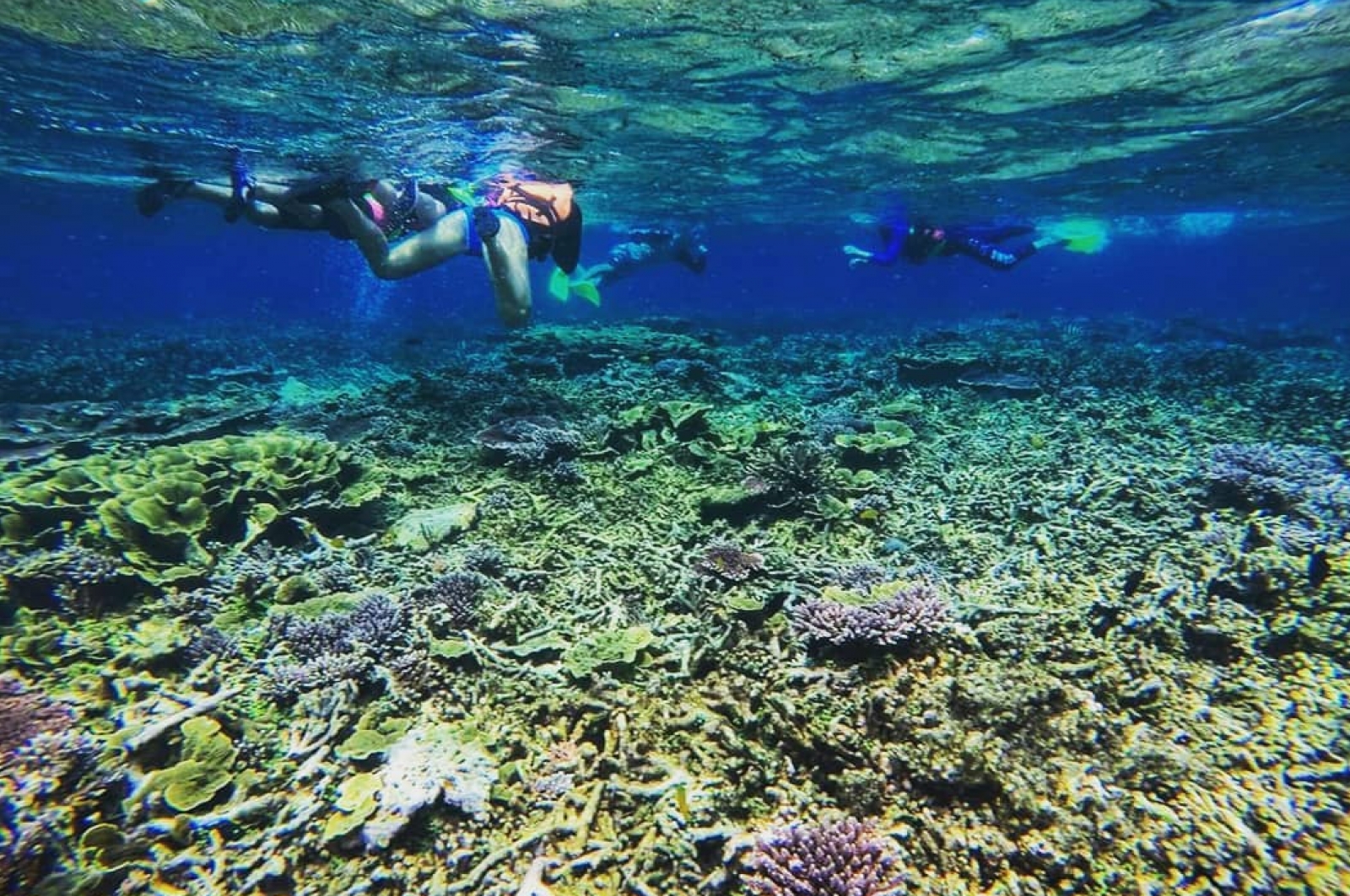 Tioman Island, Malaysia | Gokayu, Your Travel Guide