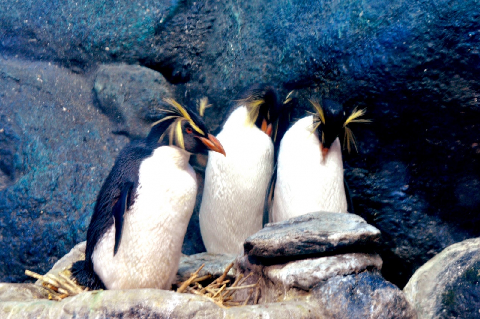 Underwater World Langkawi, Langkawi Island, Malaysia | Gokayu, Your ...